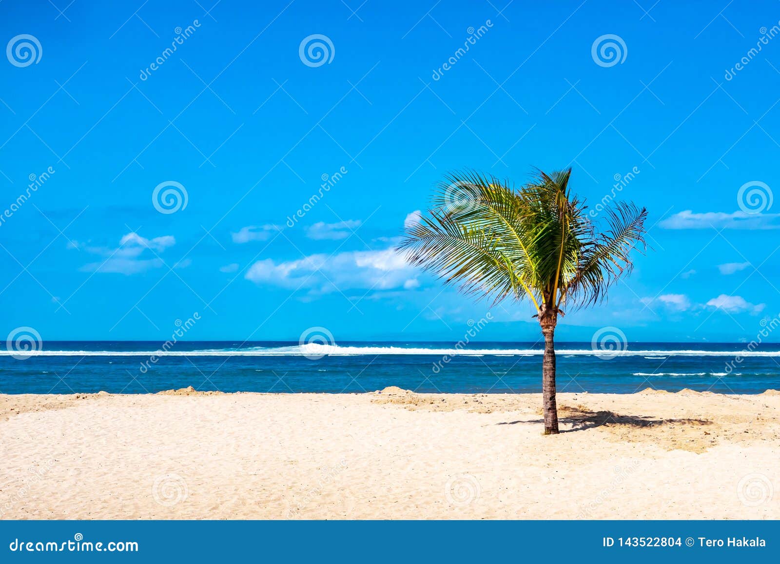 Small Palm Tree on a Tropical Beach Stock Photo - Image of cloud, palm ...