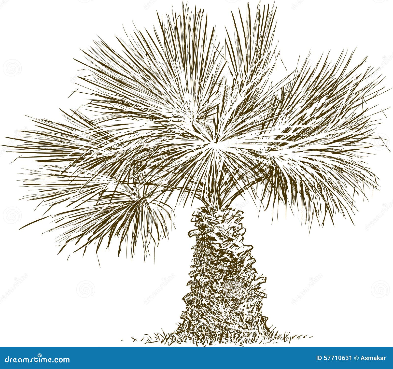 Small palm tree stock vector. Illustration of growth - 57710631