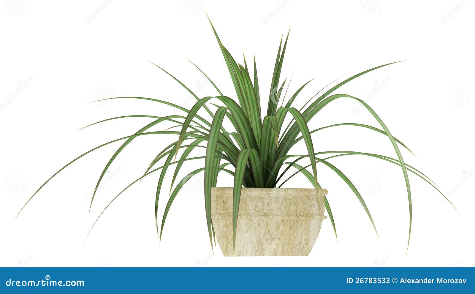 Small Pandanus plant stock illustration. Illustration of decorative ...