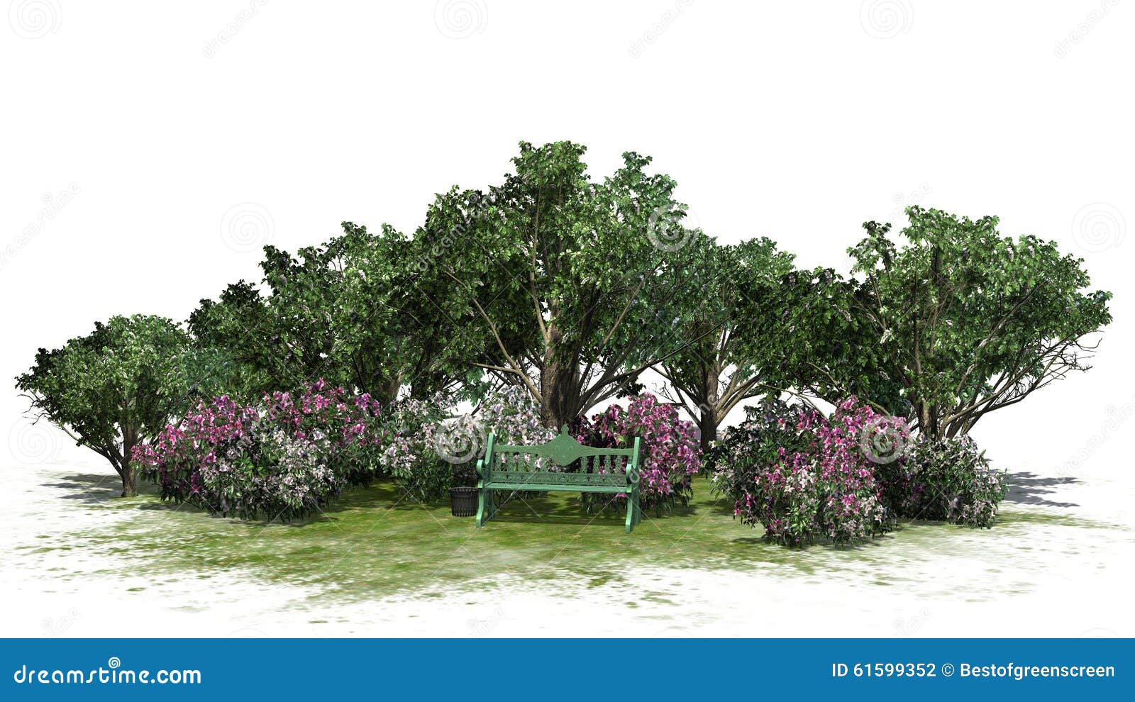 Small Park with Bushes and Trees on White Background Stock Illustration ...