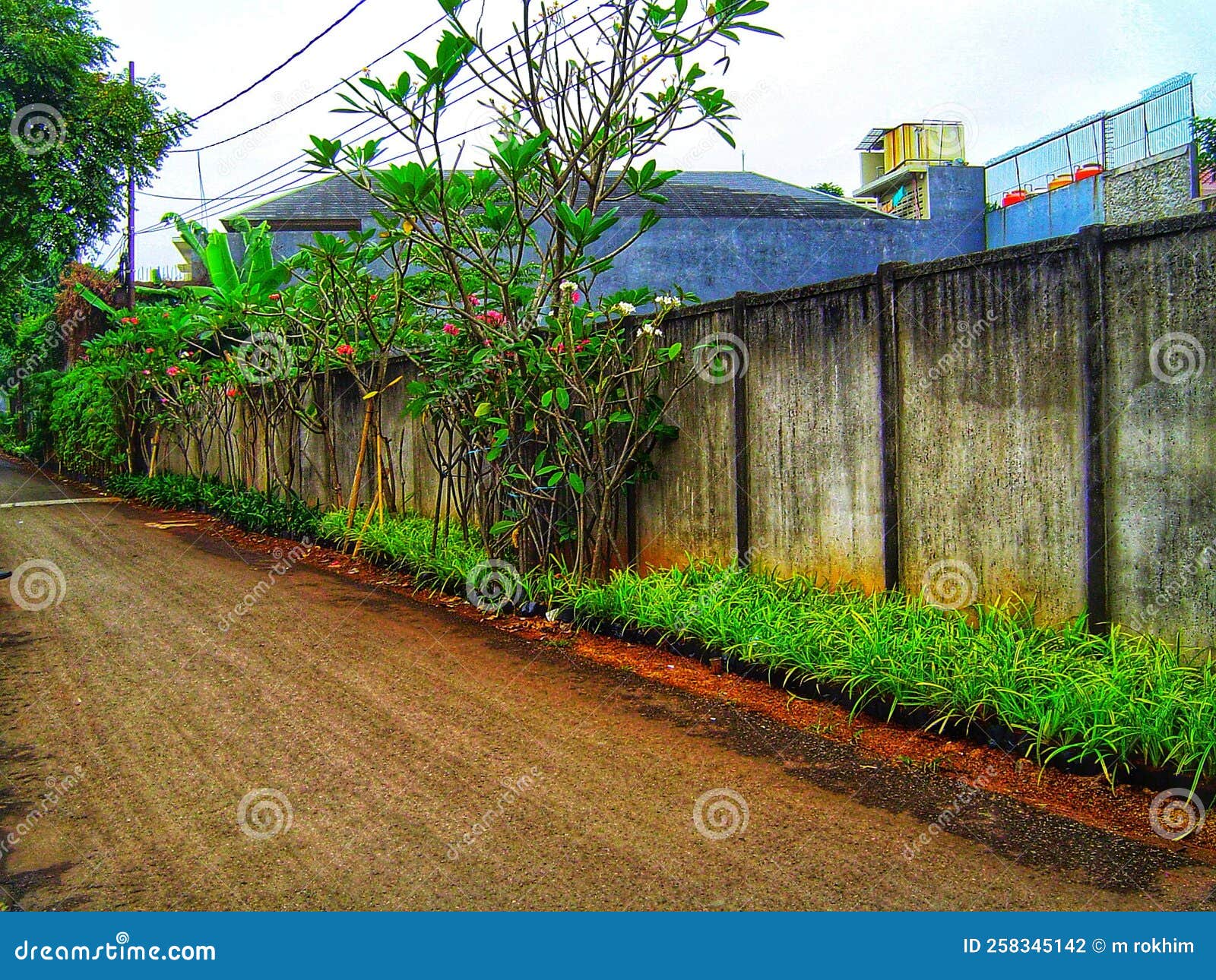 The Small Park by the Roadside is so Beautiful To Look at Stock Photo ...