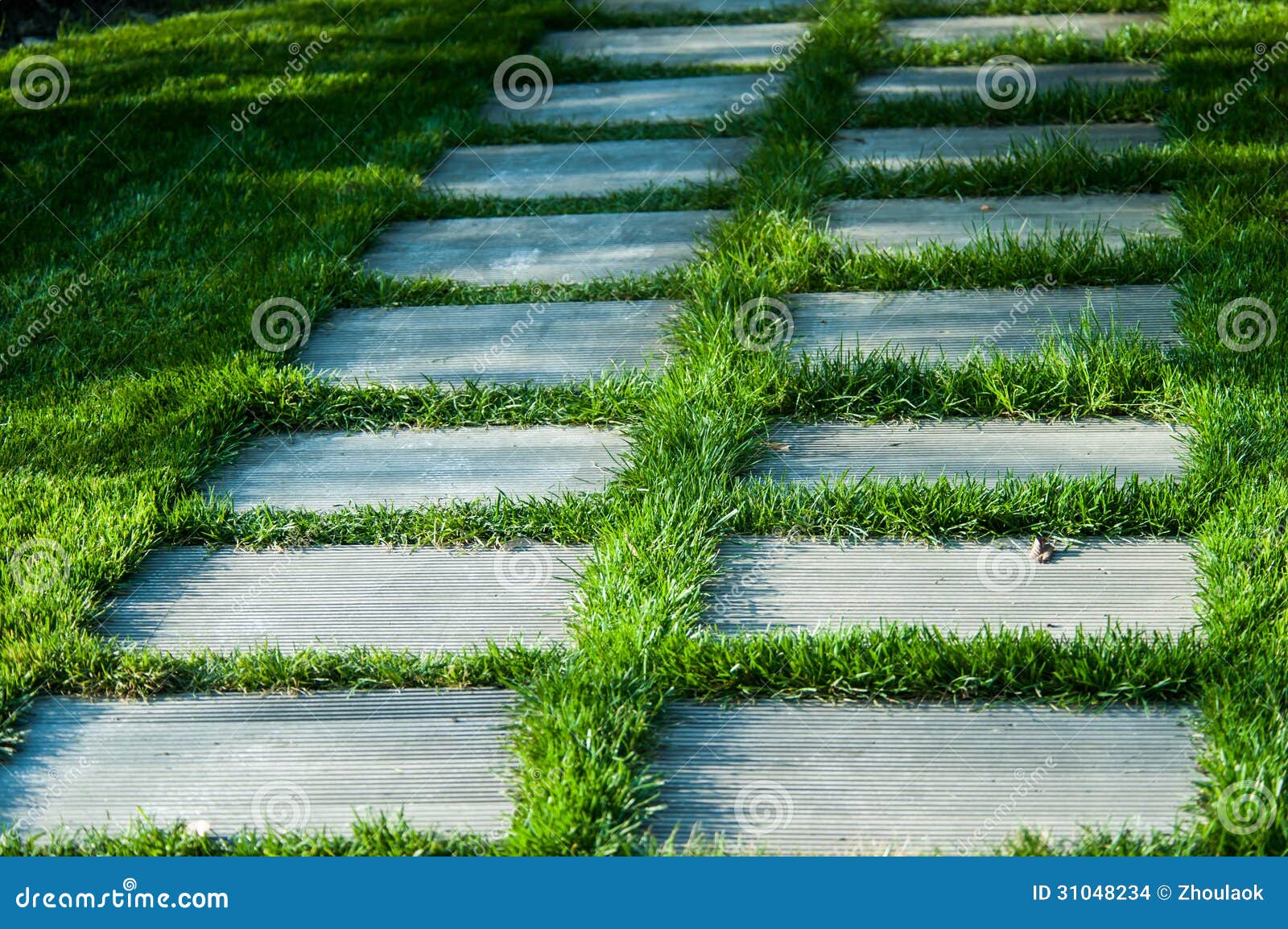 Small path with grass stock photo. Image of sunny, lawn - 31048234