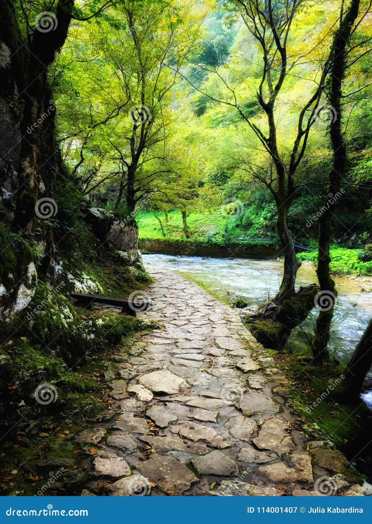 Small path in green forest stock image. Image of mountains - 114001407