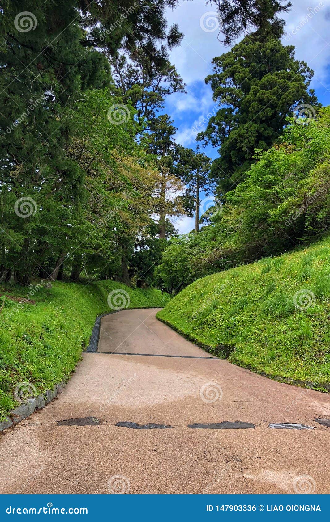 The Small Path between the Trees, Path Leads To the Lake Stock Photo ...