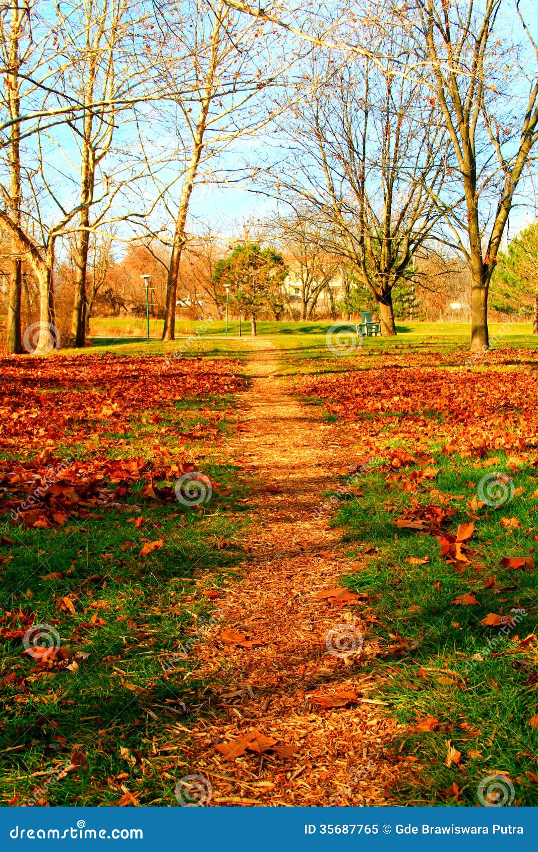 Royalty Free Images, Cartoons, Illustrations And Photos Designed By ...