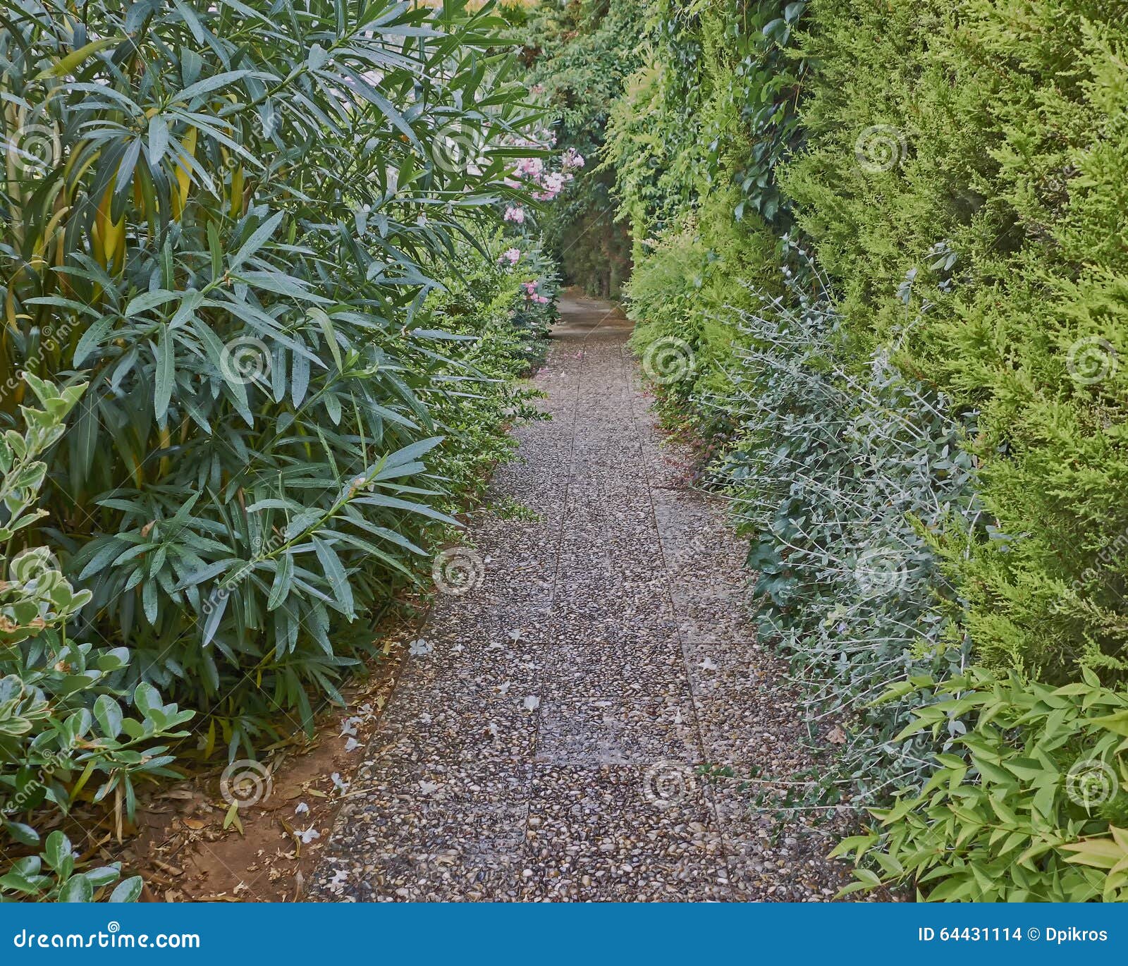 Small Pathway Through A Field Over A Bridge Stock Image | CartoonDealer ...