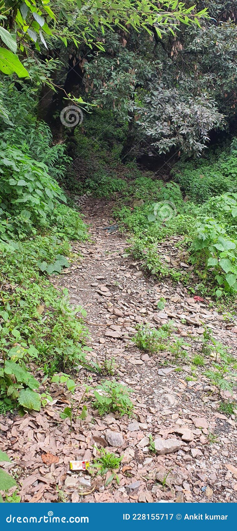 Small Pathway Through A Field Over A Bridge Stock Image | CartoonDealer ...