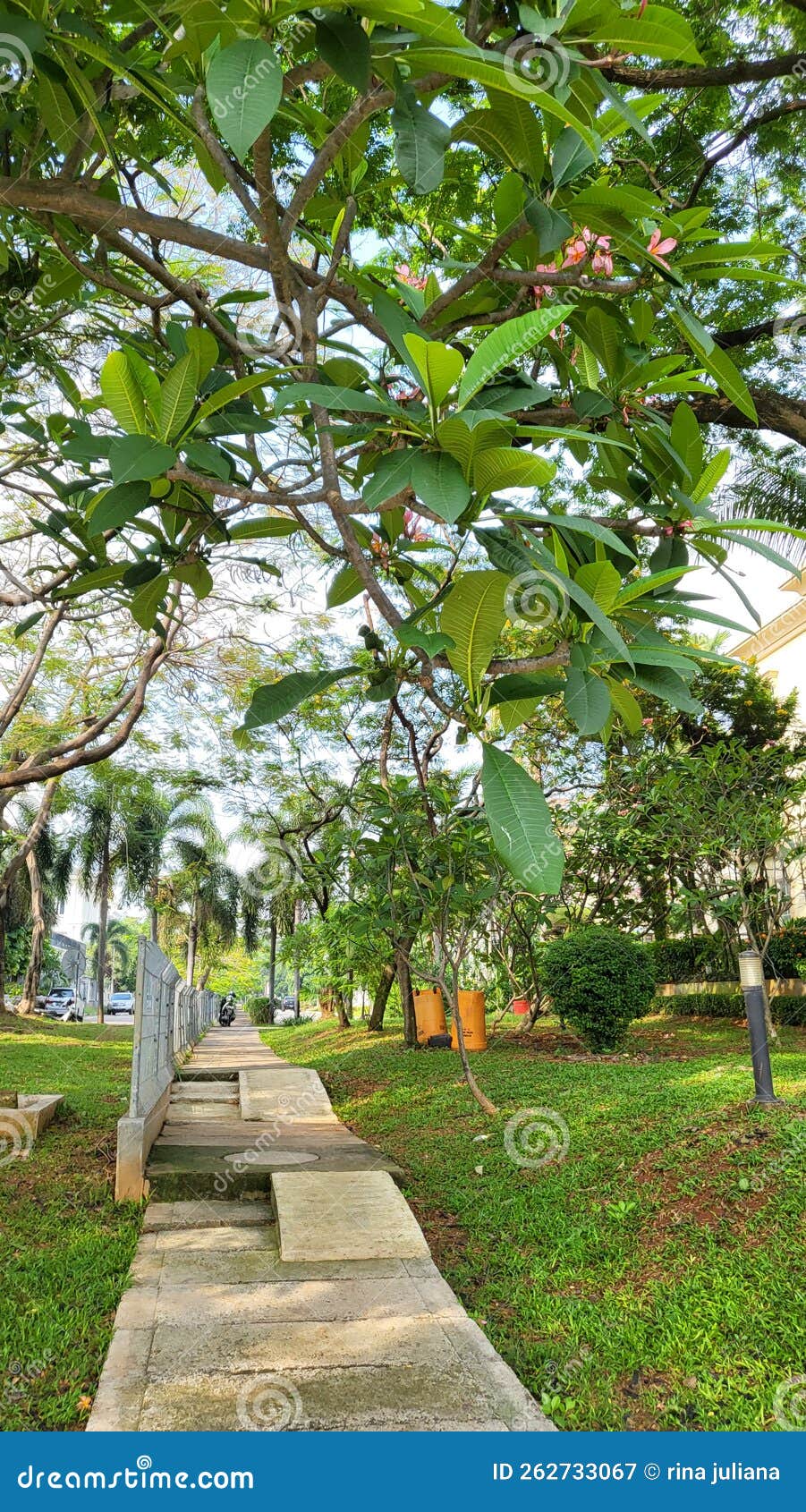 Small Pathways Surrounding by Tropical Trees Stock Image - Image of ...
