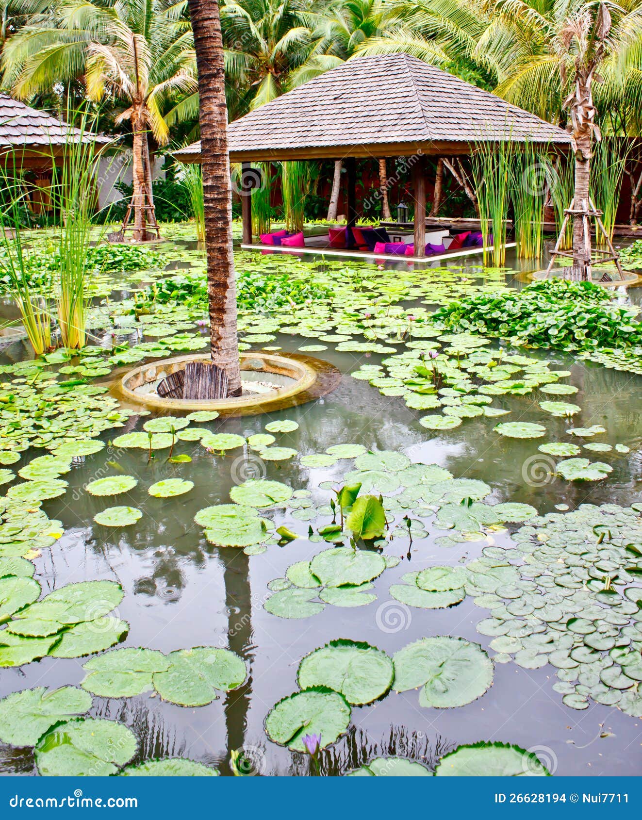 Small Pavillions in Lotus Pond 2 Stock Photo - Image of gardening, leaf ...