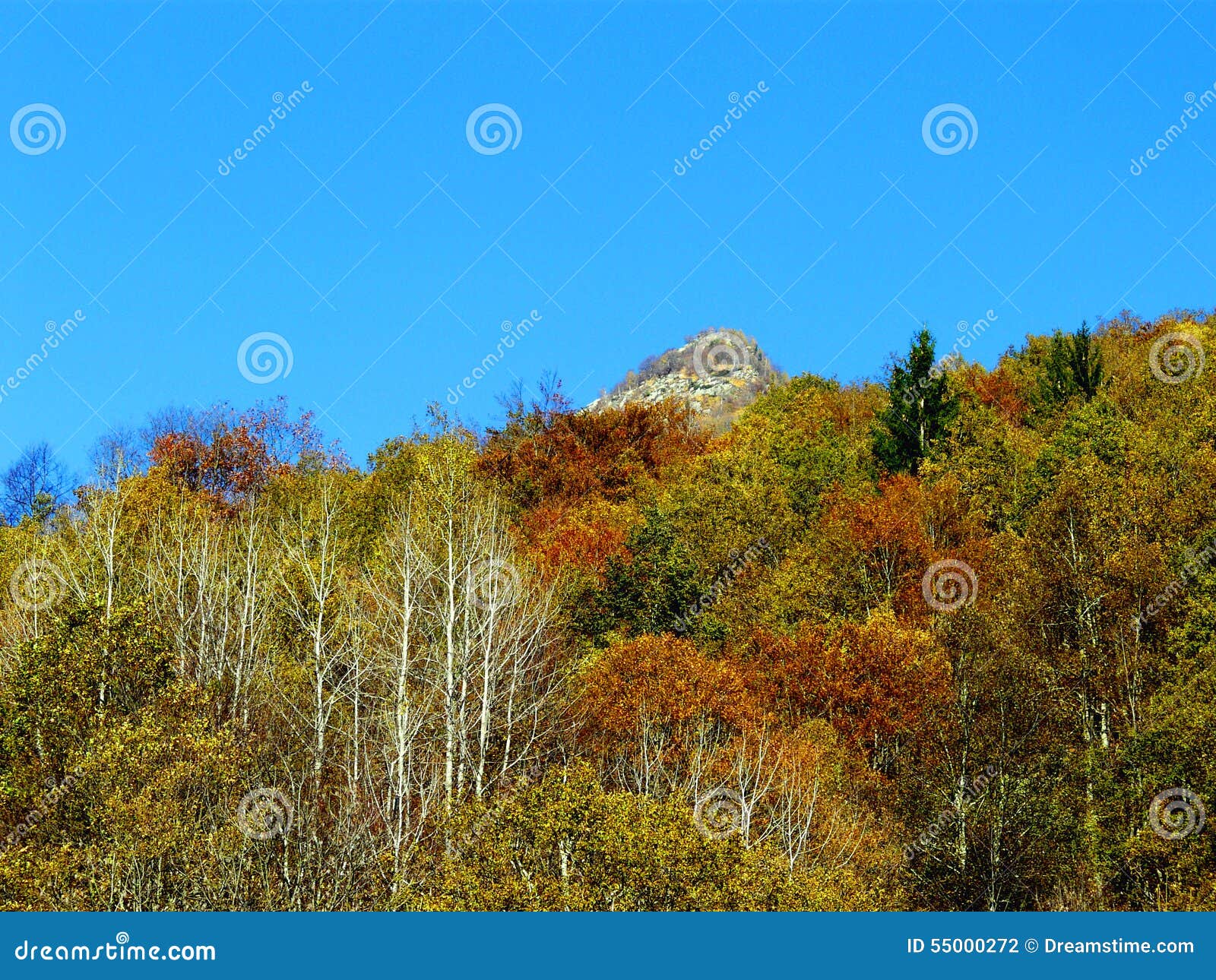 The Small Peak in the Middle of the Woods Stock Photo - Image of ...