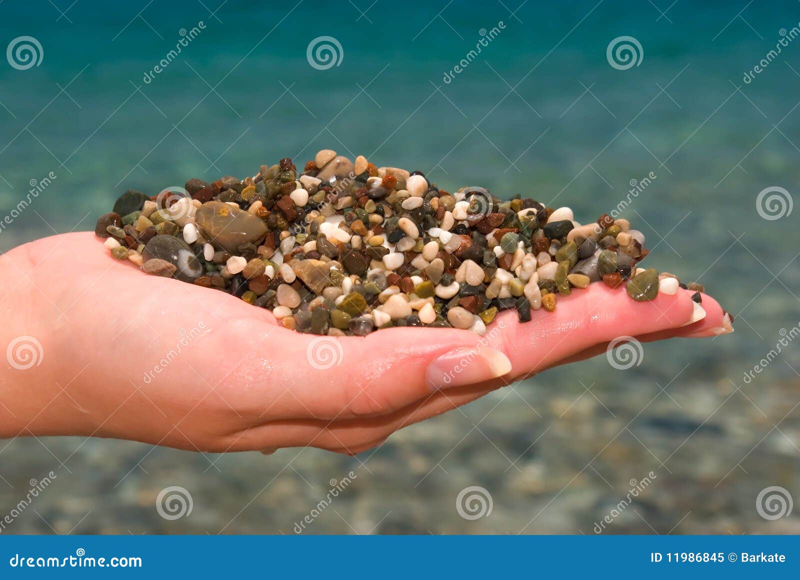 Small pebble stock image. Image of pebble, sunlight, holding - 11986845