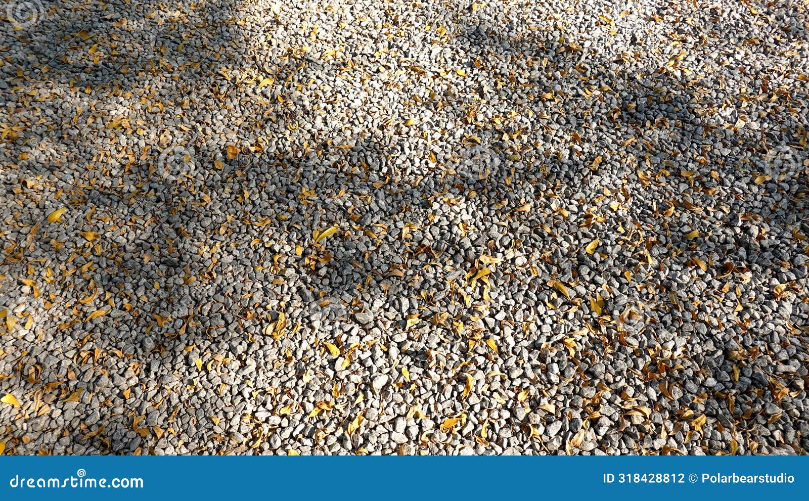 Small Pebble Background and Texture with Shadow of Trees Stock Photo ...