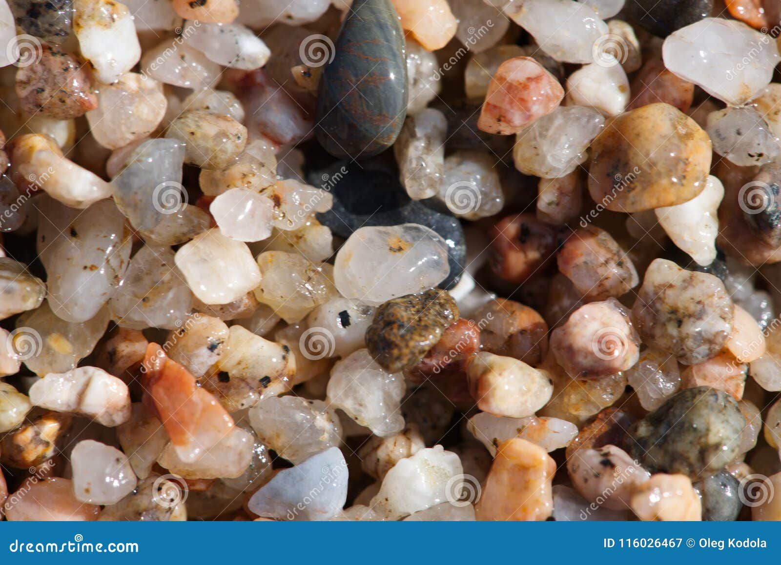 Small Pebbles on the Beach Close-up Stock Image - Image of texture ...