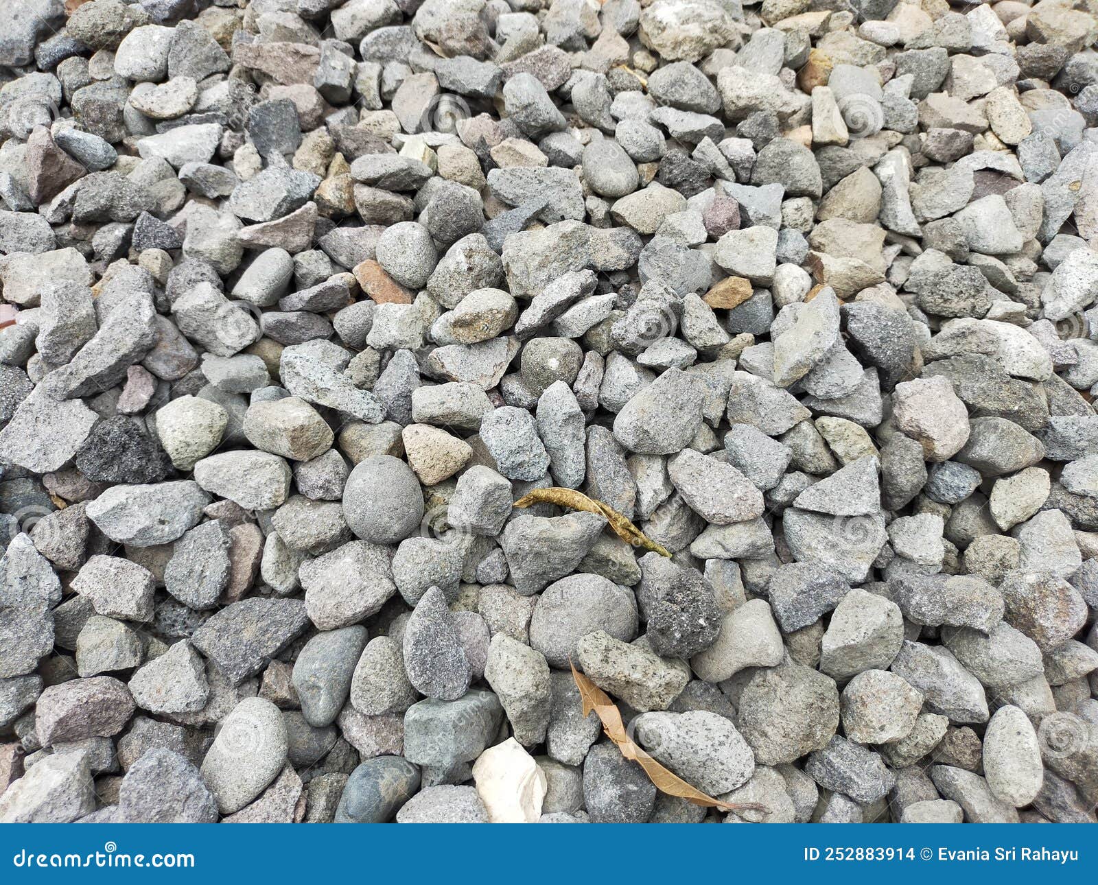 Small pebbles gathered stock photo. Image of wall, rubble - 252883914