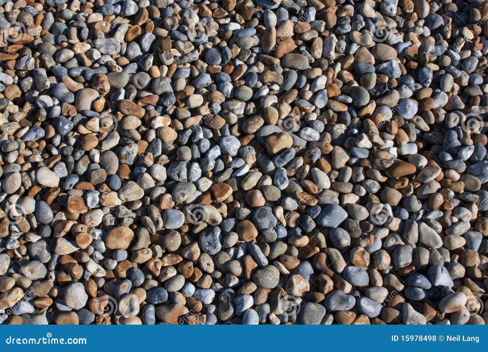 Small Pebbles on Hastings Beach Stock Photo - Image of nature, closeup ...