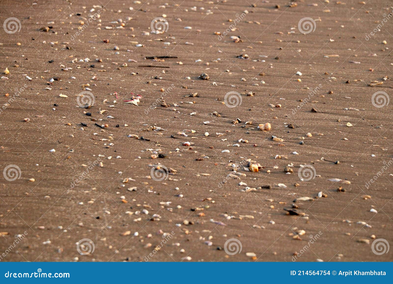 Small Pebbles and Stones in Sand Stock Photo - Image of shore, tourism ...