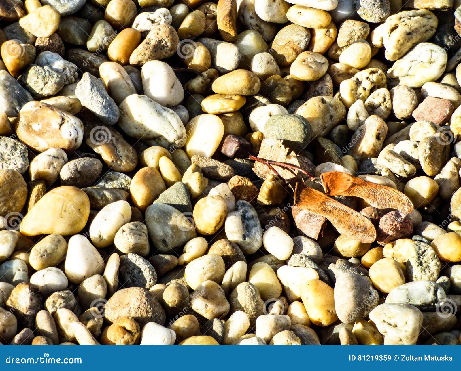 Small Pebbles Stones Leaves Autumn Stock Image - Image of autumn ...