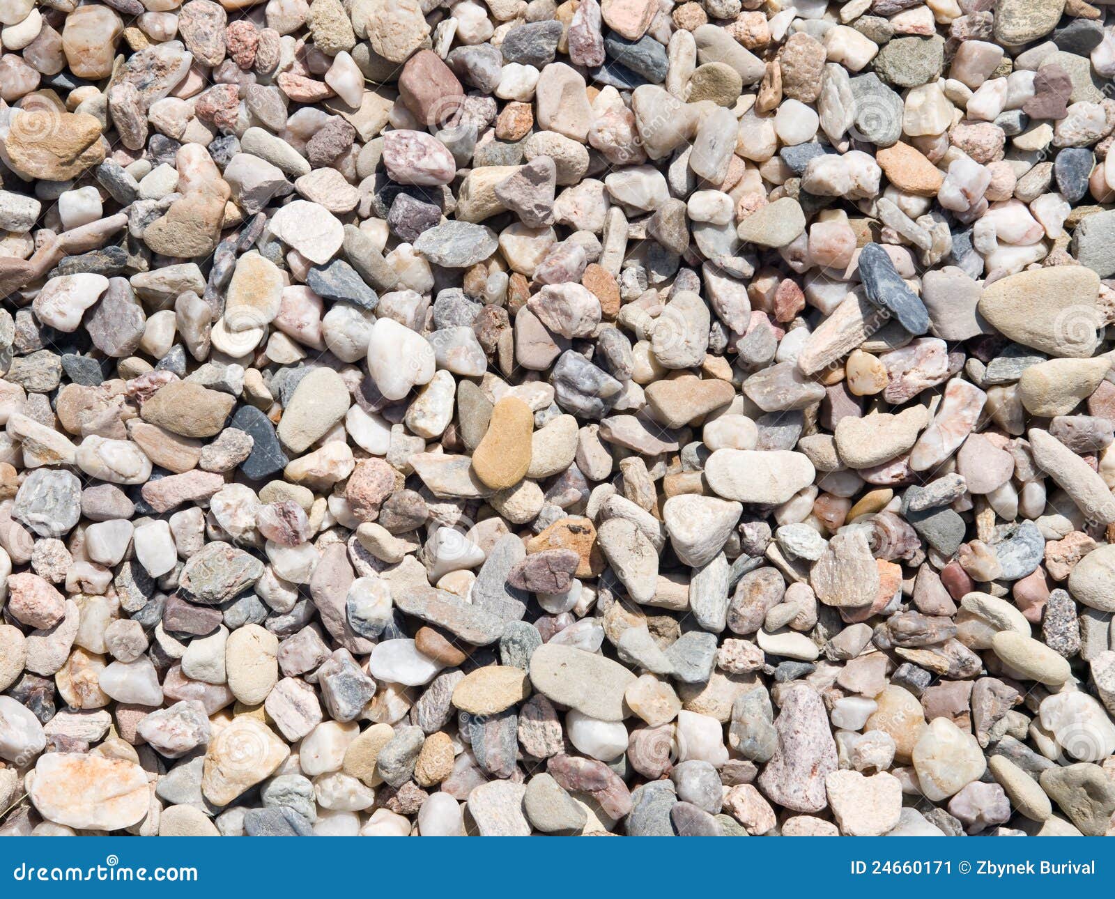 Small pebbles texture stock image. Image of rock, stones - 24660171