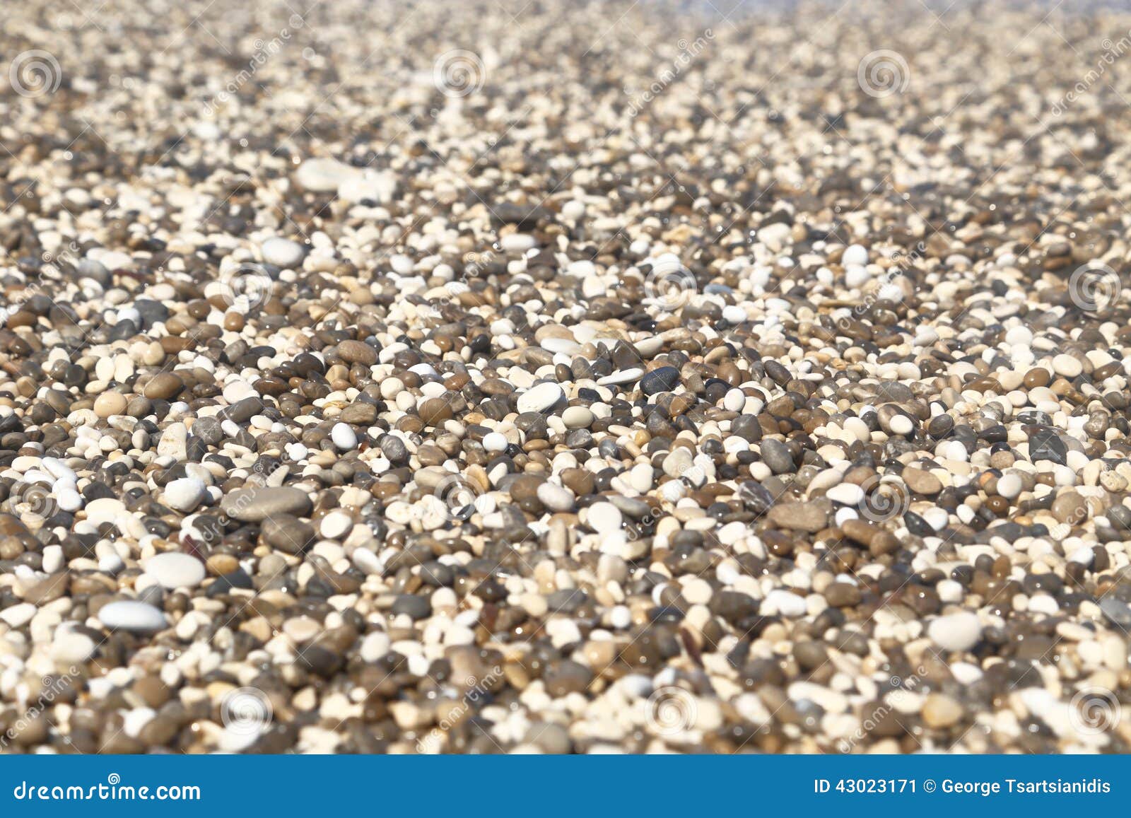 Small pebbles textured stock image. Image of material - 43023171