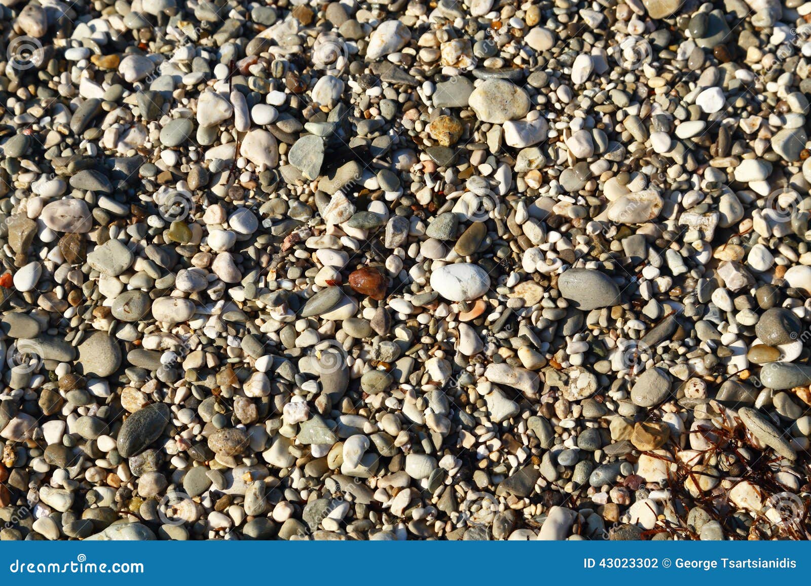 Small pebbles textured stock photo. Image of macro, element - 43023302