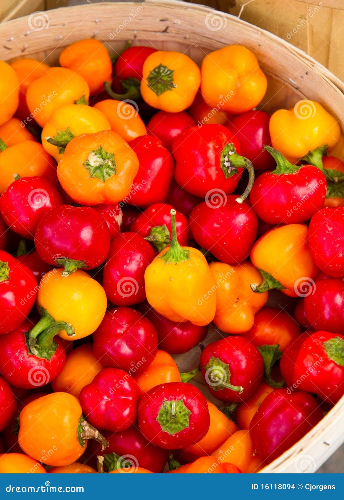 Small peppers stock photo. Image of vegetable, eating - 16118094