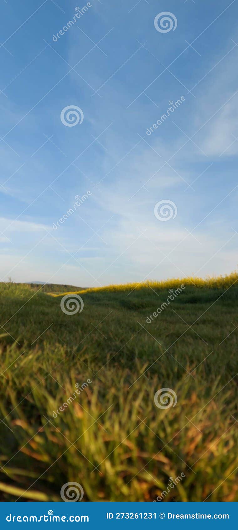 From a small perspective stock image. Image of green - 273261231