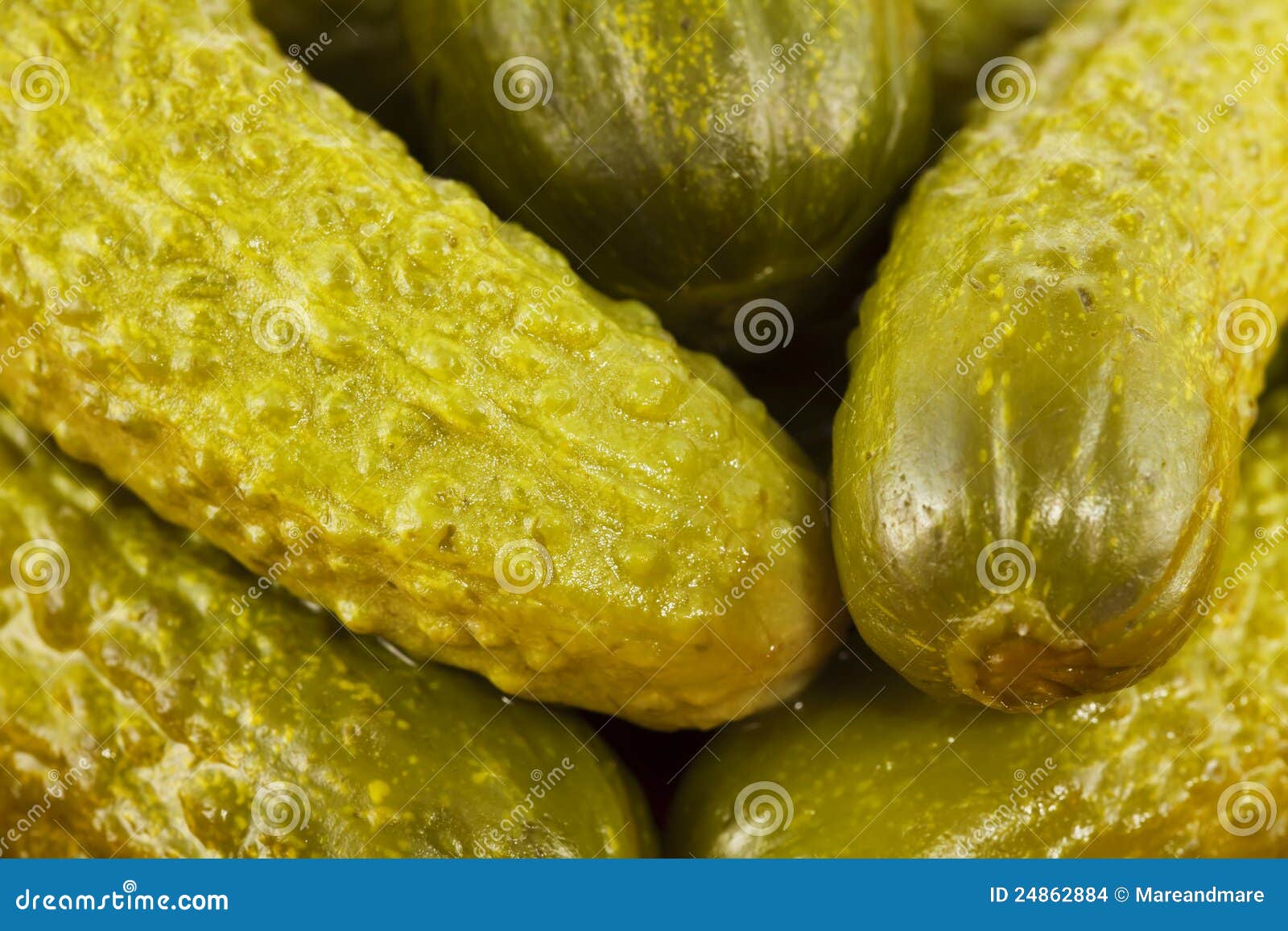 Small pickles stock photo. Image of ingredient, salt - 24862884