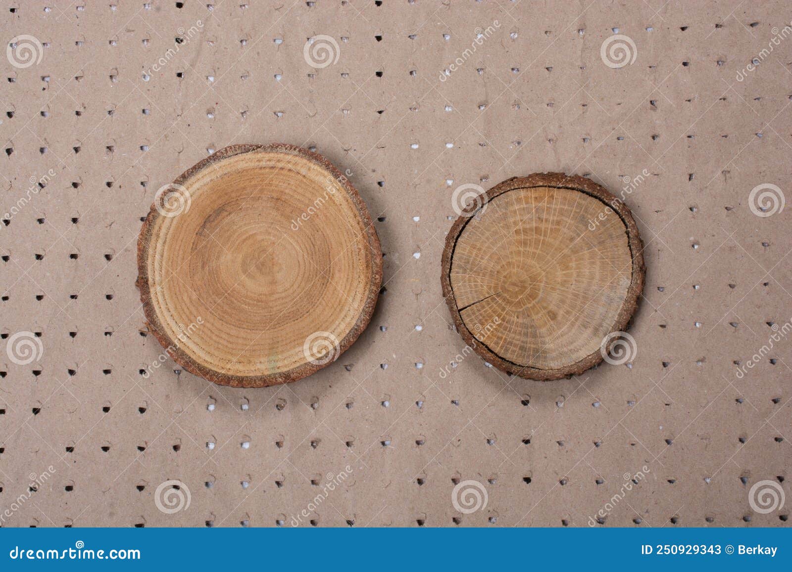 Small Piece of Cut Wood Log in Round Shape Stock Image - Image of ...