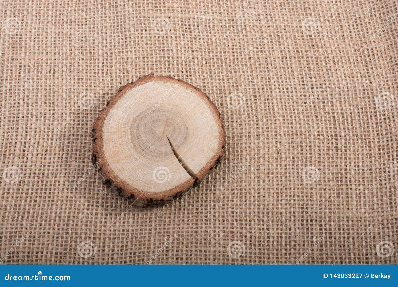 Small Piece of Cut Wood Logs Stock Image - Image of autumnal, pieces ...