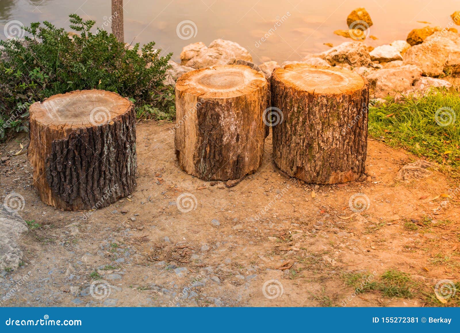 Small Piece of Cut Wood Logs Stock Image - Image of natural, wood ...