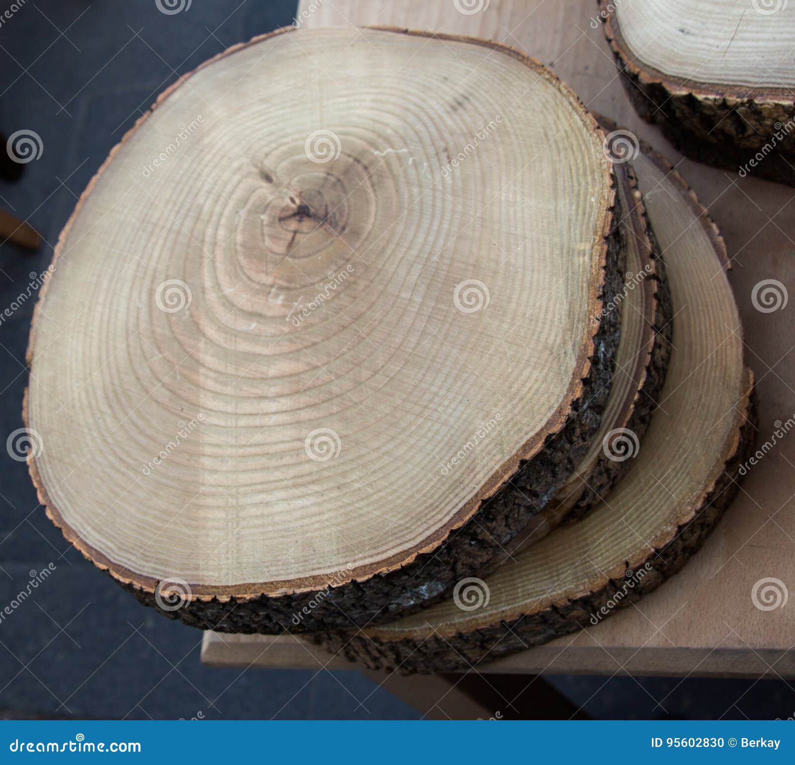 Small Piece of Cut Wood Logs Stock Photo - Image of circular, circle ...