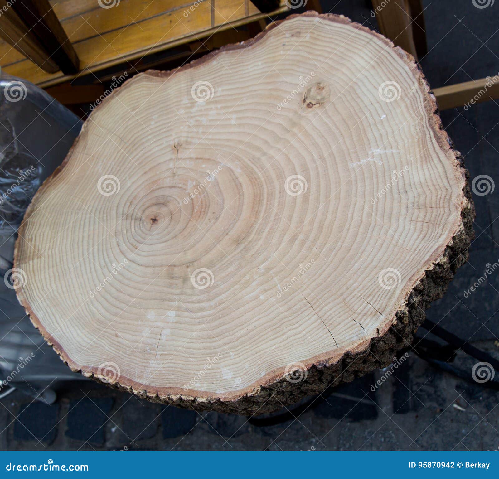 Small Piece of Cut Wood Logs Stock Photo - Image of stump, wood: 95870942