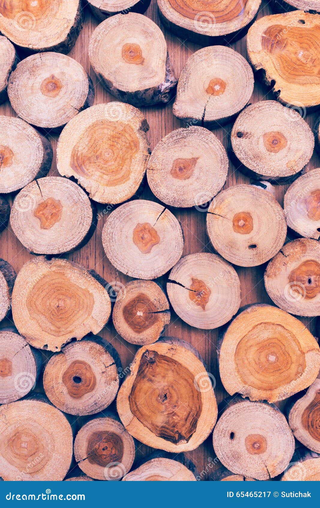 Small Piece of Wood Logs Used for Design Decorated Interior Stock Image ...