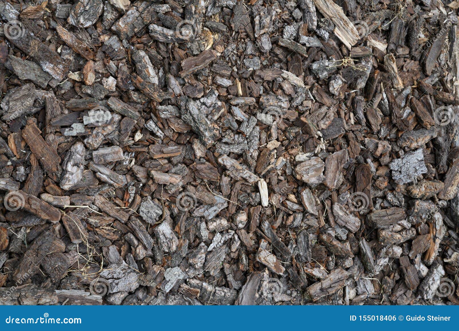 Small Pieces of Bark on a Forest Road To Run on Barefoot Stock Photo ...