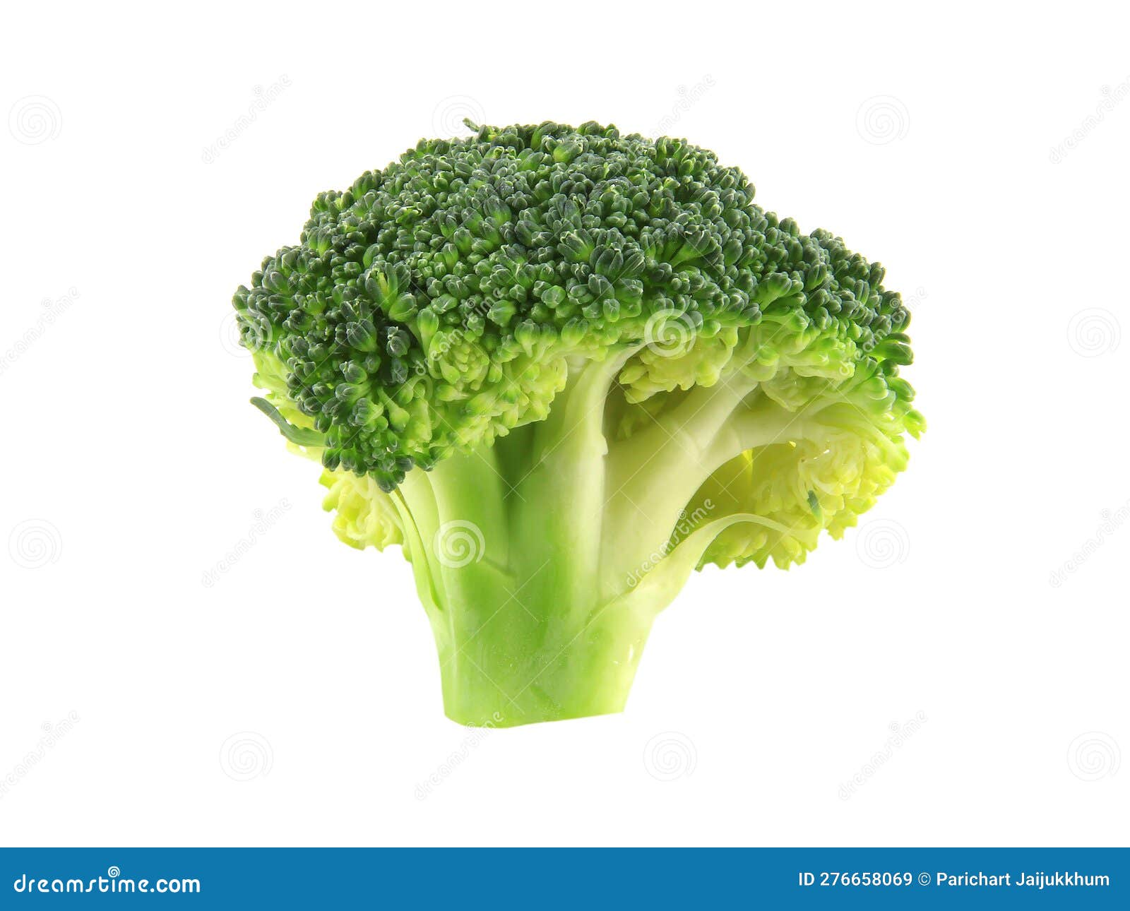 Small Pieces of Broccoli Isolated on White Background with Clipping ...
