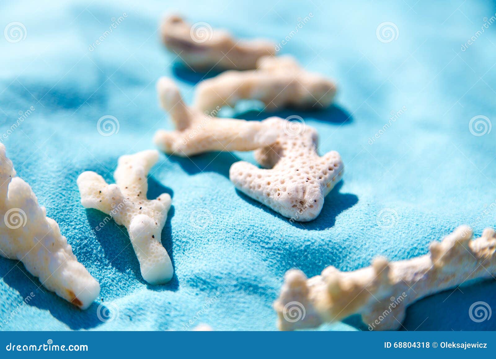 Small Pieces of Coral Reef on the Beach Stock Photo - Image of corals ...