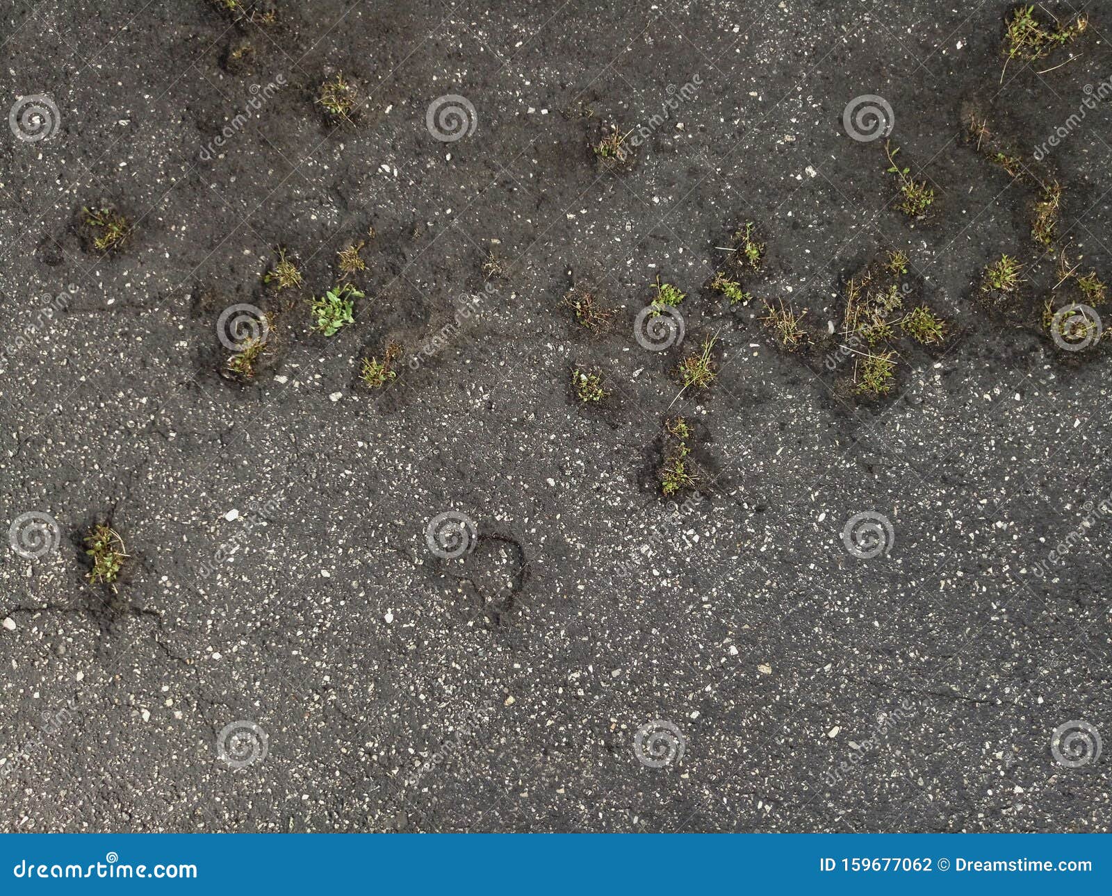 Small Pieces of Grass on the Pavement Stock Photo - Image of road, gray ...