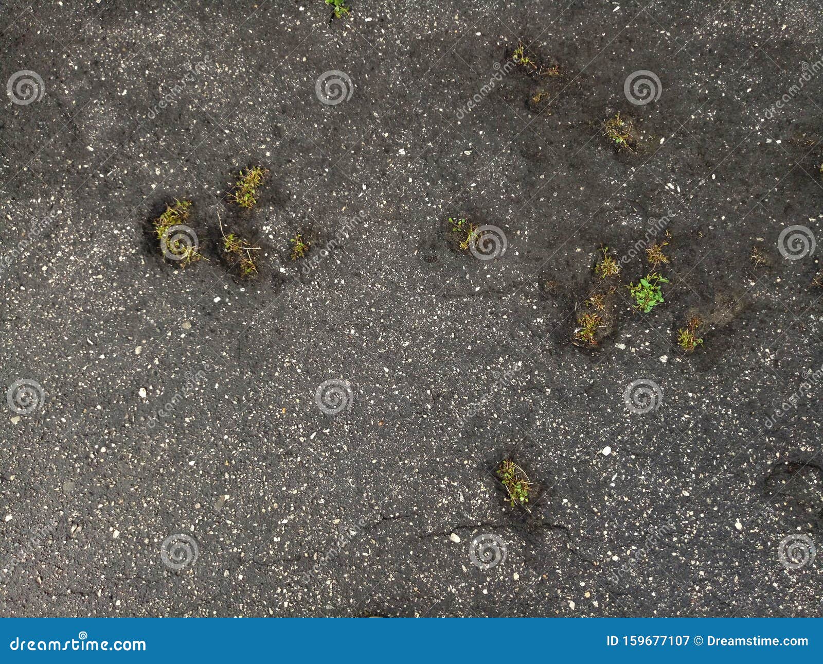 Small Pieces of Grass on the Pavement Stock Image - Image of ground ...