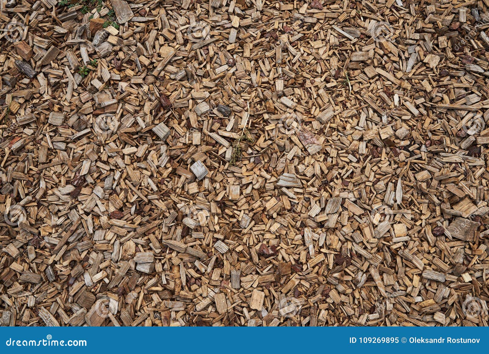 Small Pieces of Wood and Bark on a Horizontal Surface Stock Image ...