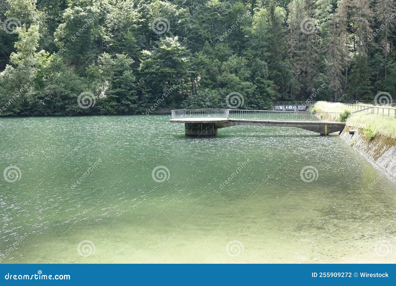 Small Pier Over a River with Trees in the Background Stock Photo ...
