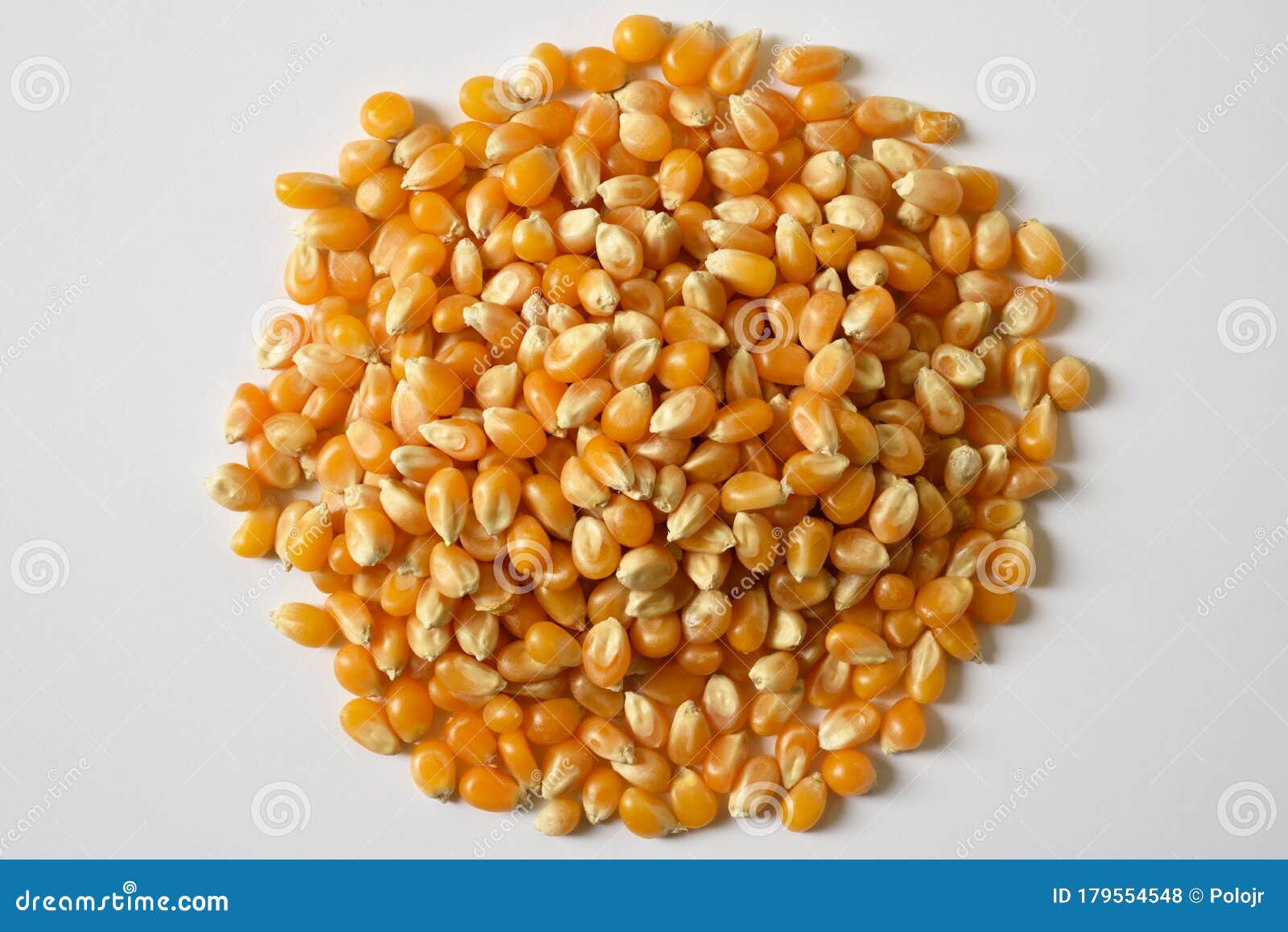 Small pile of corn kernels stock photo. Image of canned - 179554548