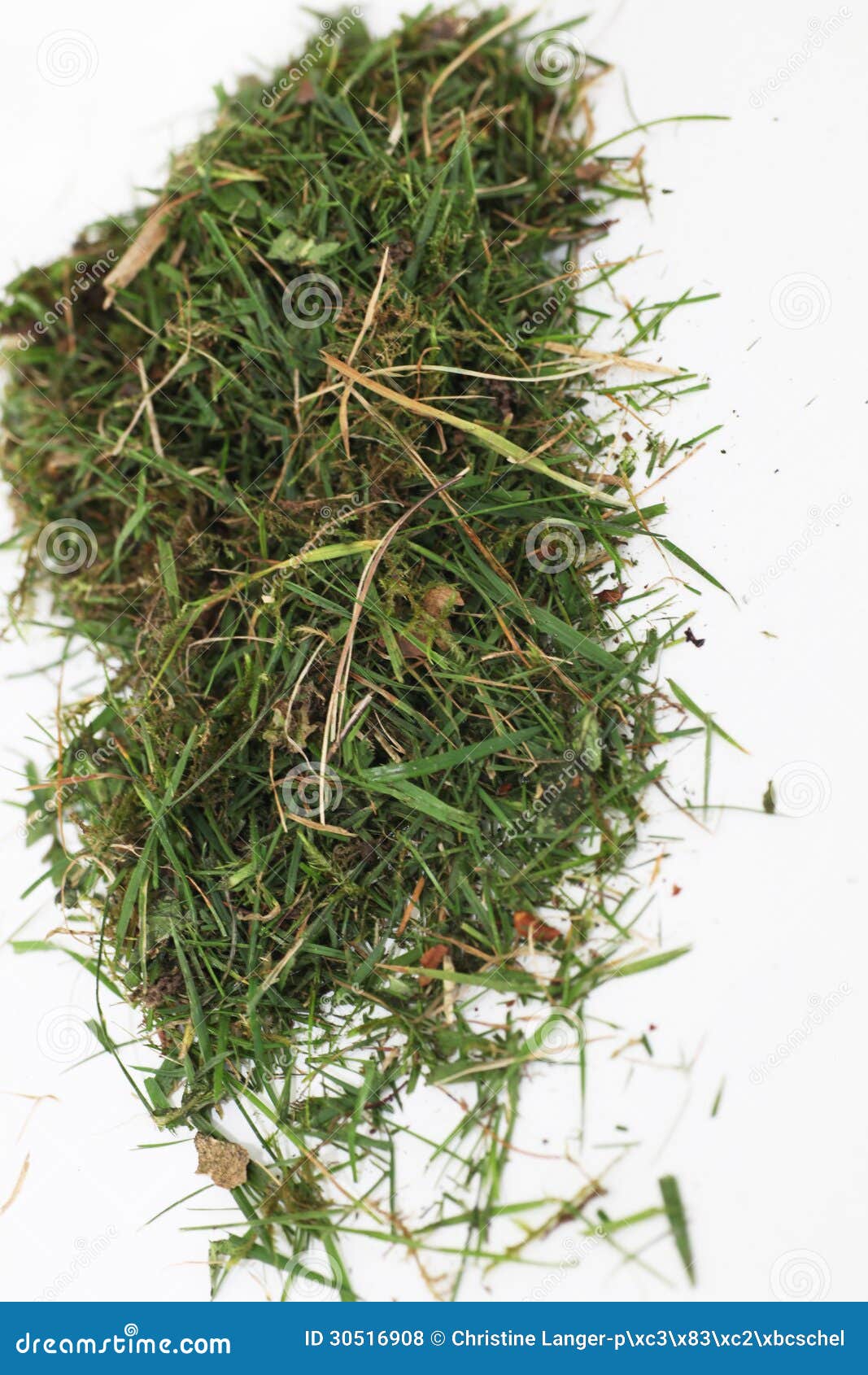 Small pile of green grass stock photo. Image of grass - 30516908
