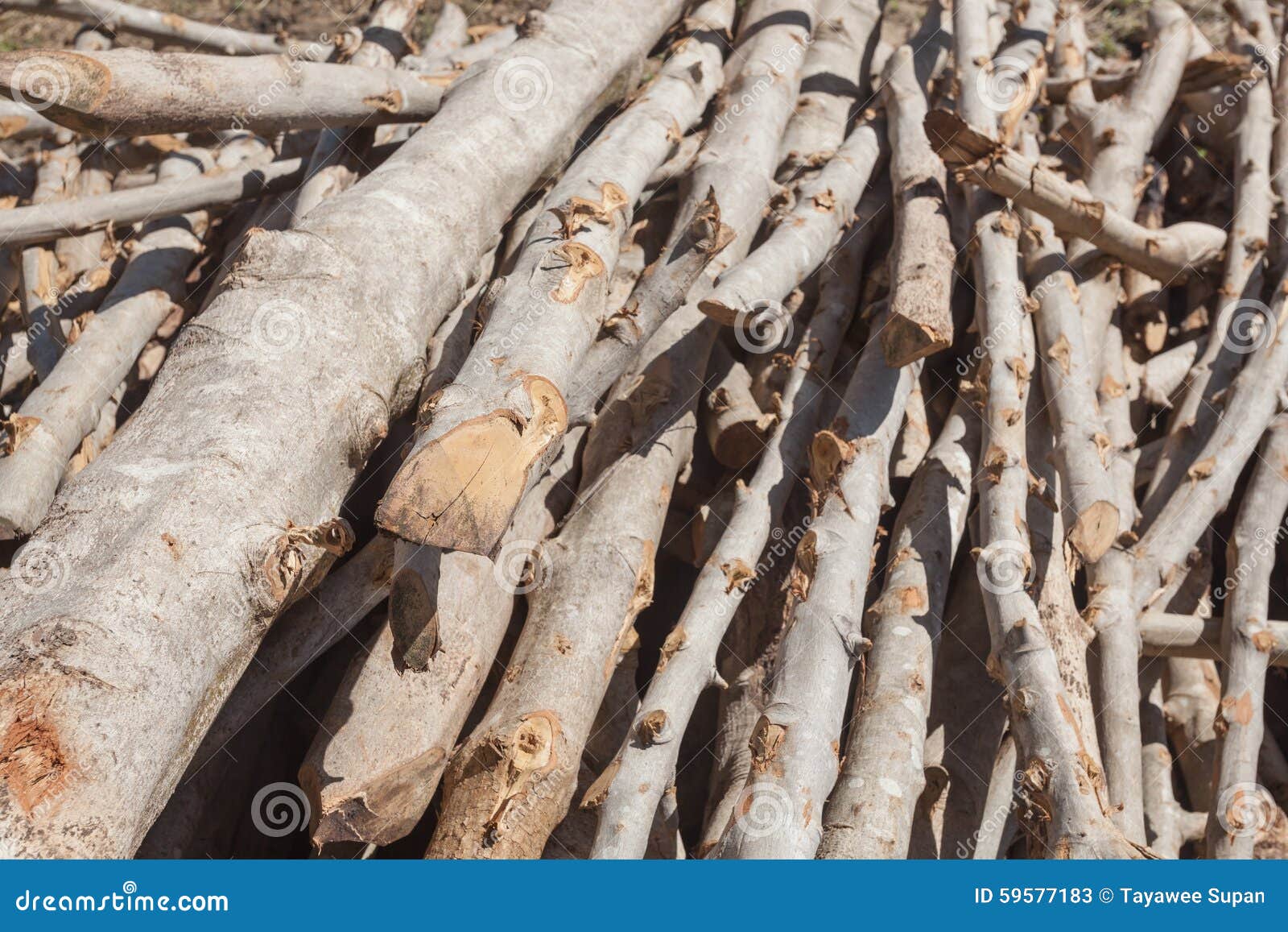 A Small Pile of Logs in Countryside , Firewood Stack Stock Image ...