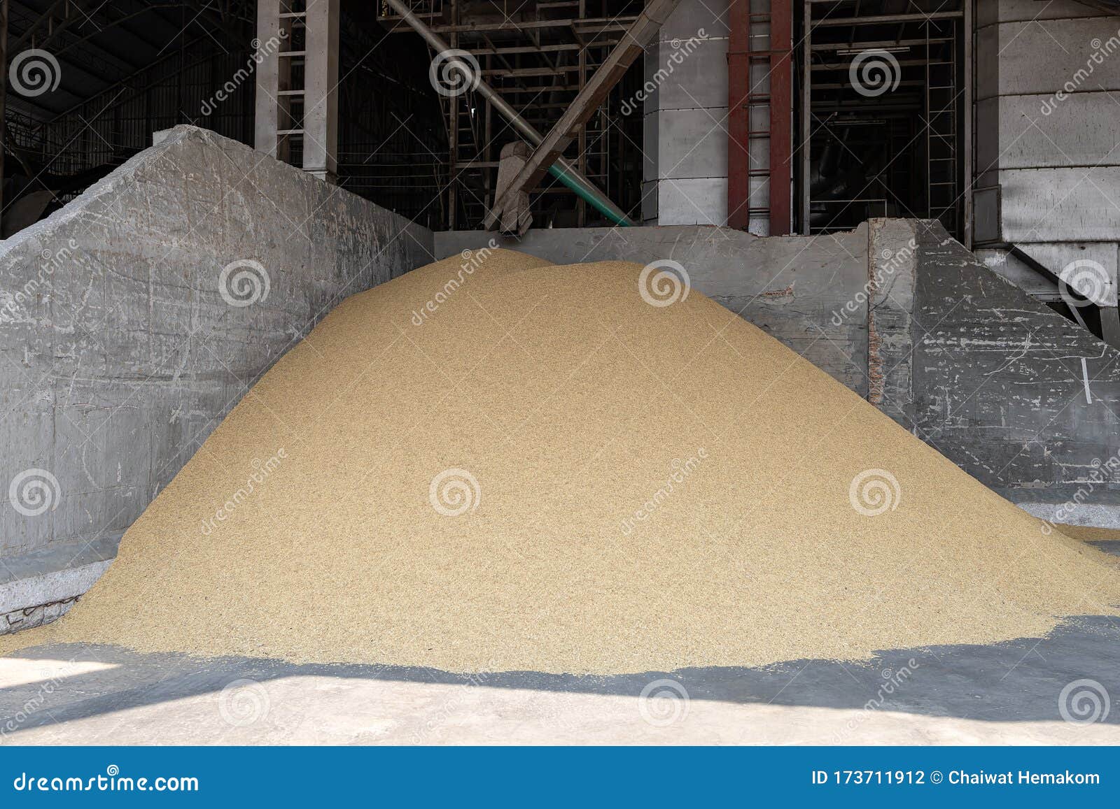 Pile Paddy In The Rice Mill. To Wait To Be Polished To Rice. Rice Mill ...