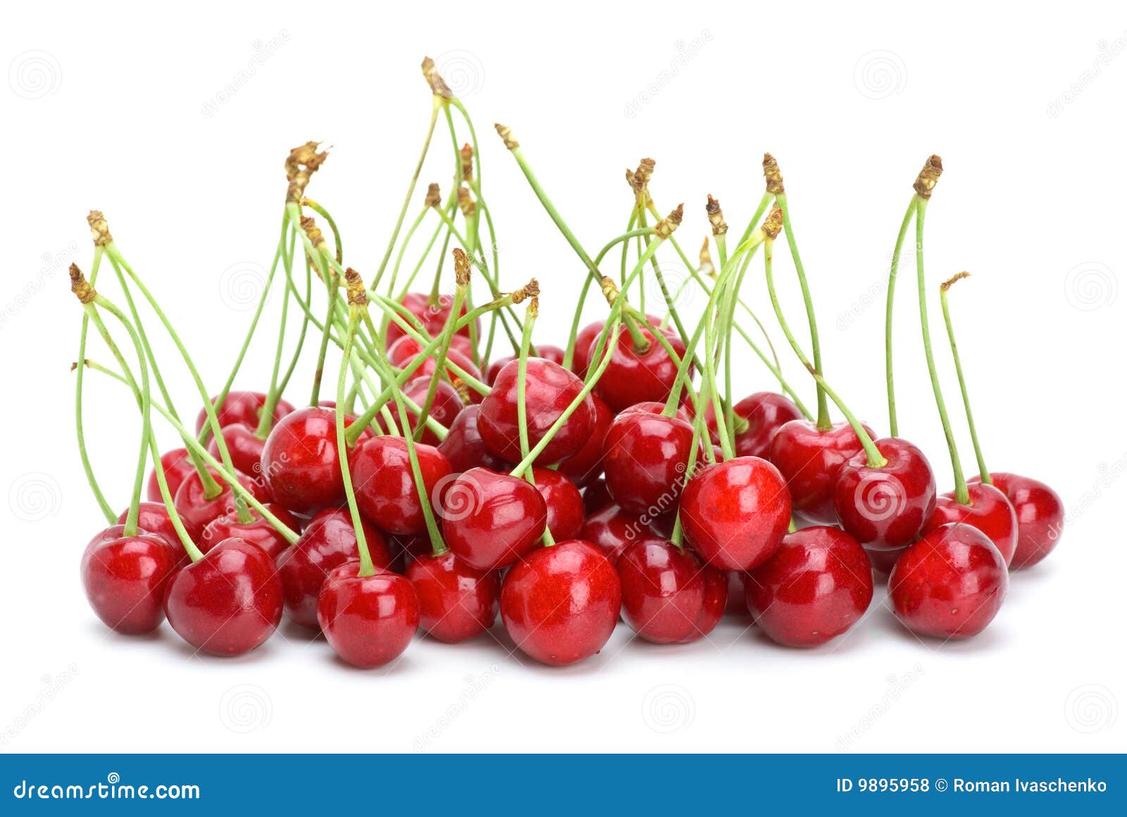Small Pile of Red Cherries with Stalks Stock Photo - Image of tasty ...