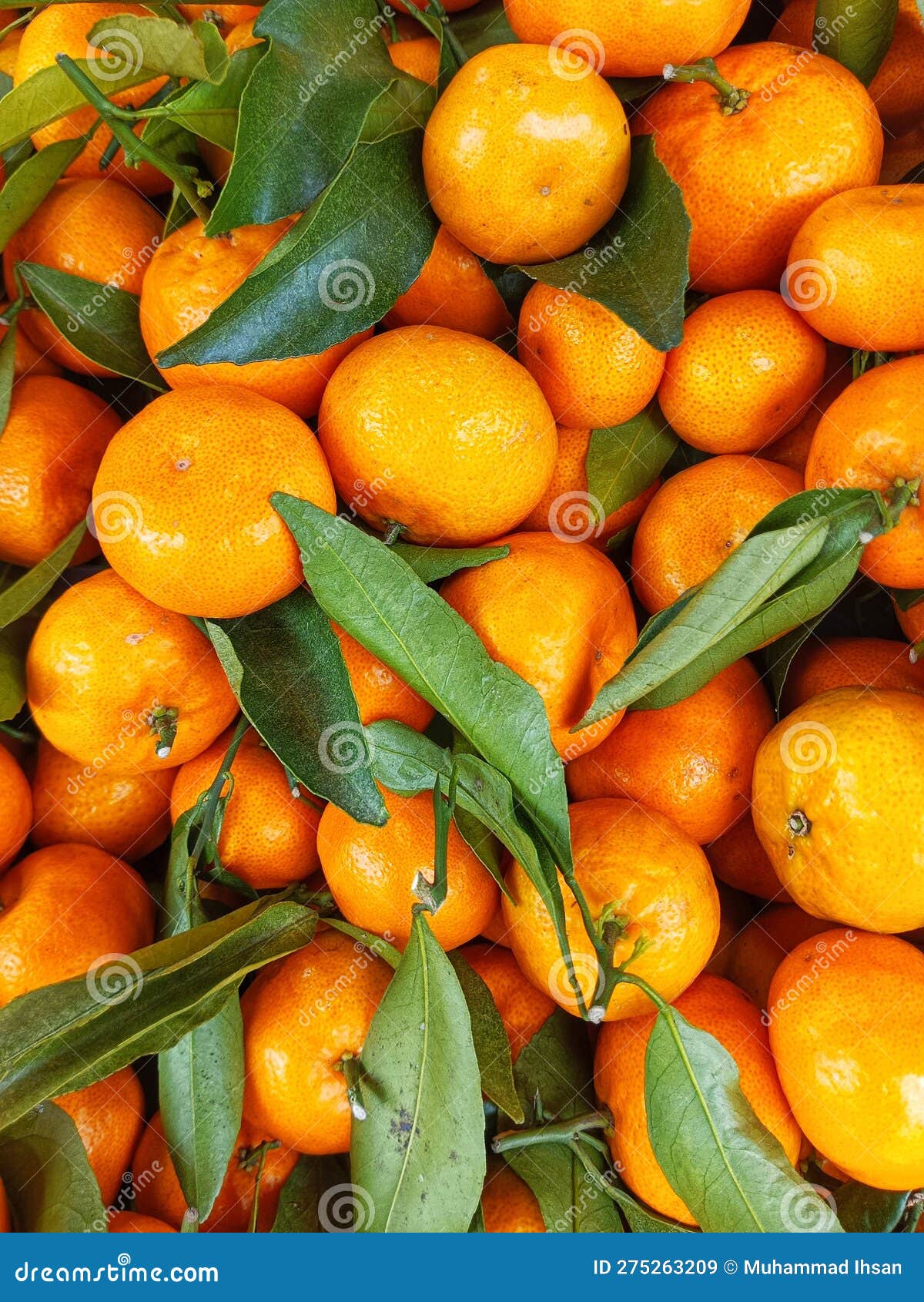 Small Piles of Oranges and Coconut Leaves that are Sold by Traders ...