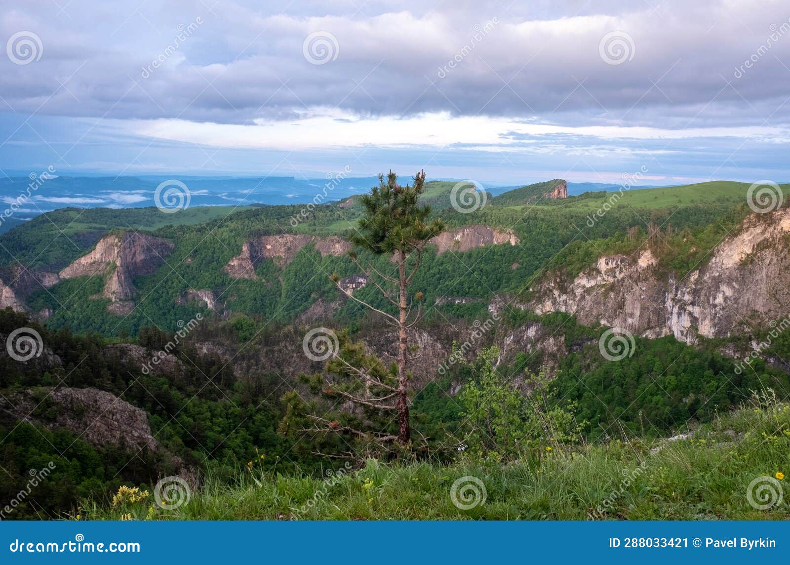 Alpine meadows stock image. Image of asia, park, outdoor - 288033421