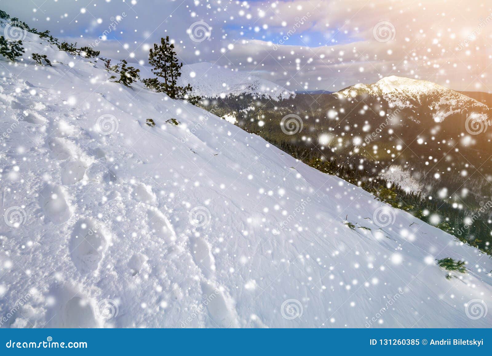 Small Pine Tree on Snow Covered Hill in Winter Mountains Stock Image ...
