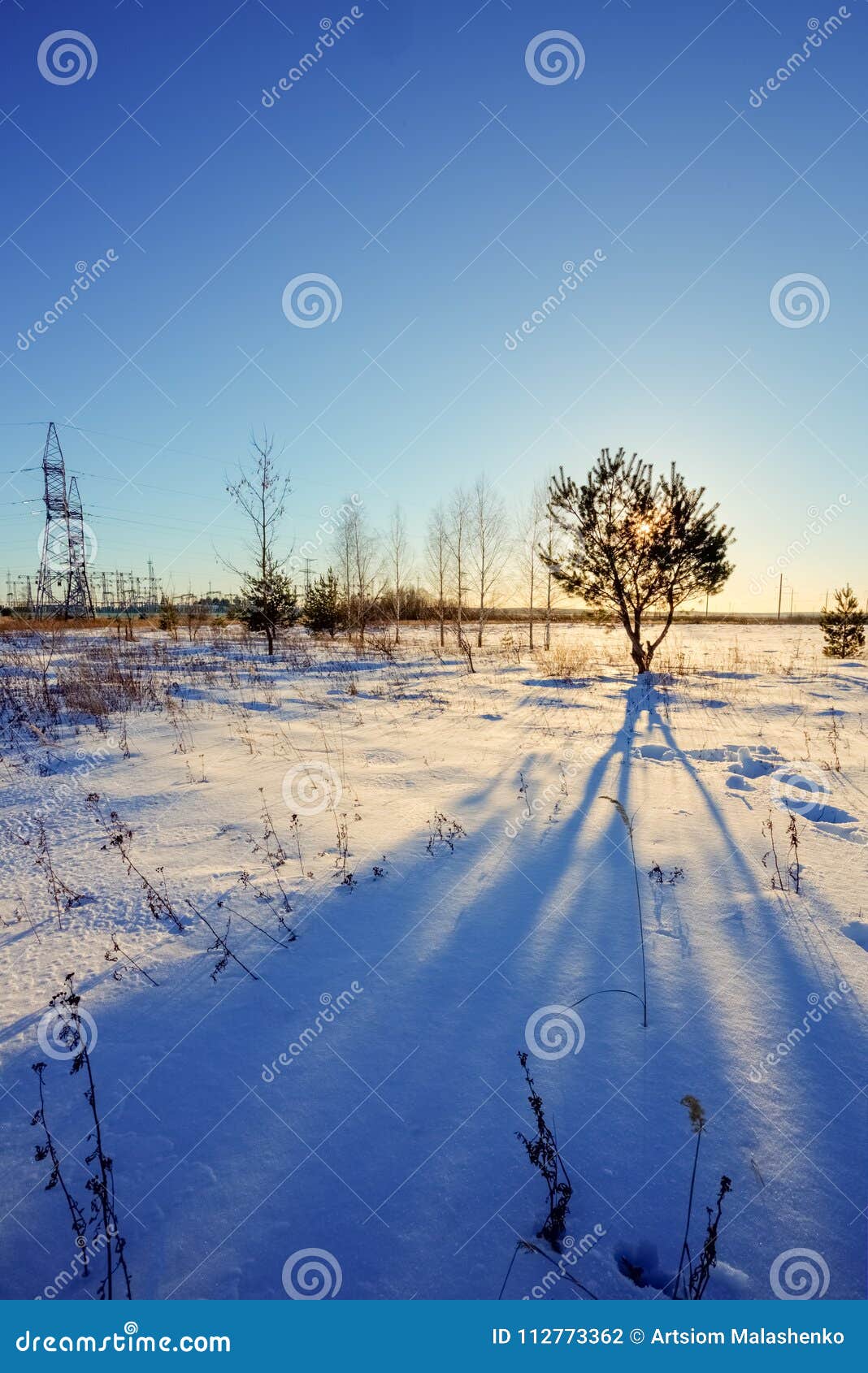 Winter field before sunset stock photo. Image of sunrise - 112773362