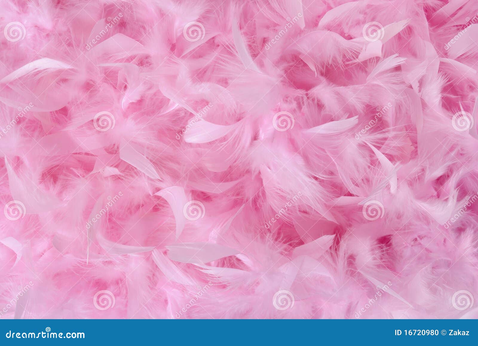 Small Pink Feathers In Pile | Texture Stock Photo | CartoonDealer.com ...